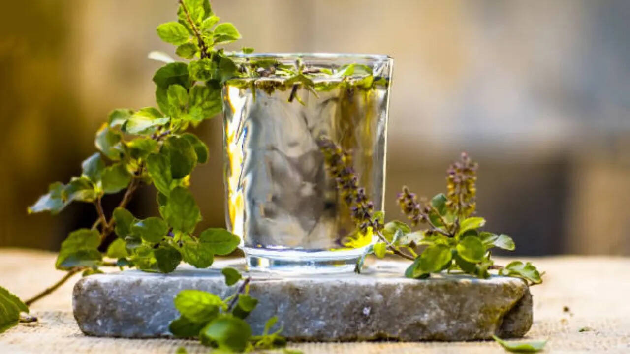 What happens to your lungs when you drink tulsi water every morning?