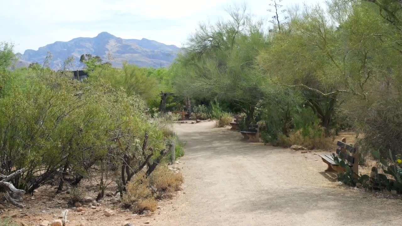 Tohono Chul offers peaceful escape into the Sonoran Desert in Tucson