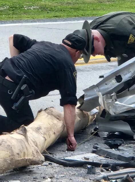 Update: Woman killed in log truck accident in Taylor County