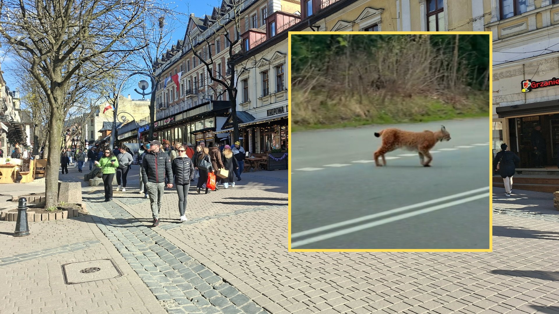 Fenomenalne nagranie z Zakopanego. Cieszy oko, naprawdę