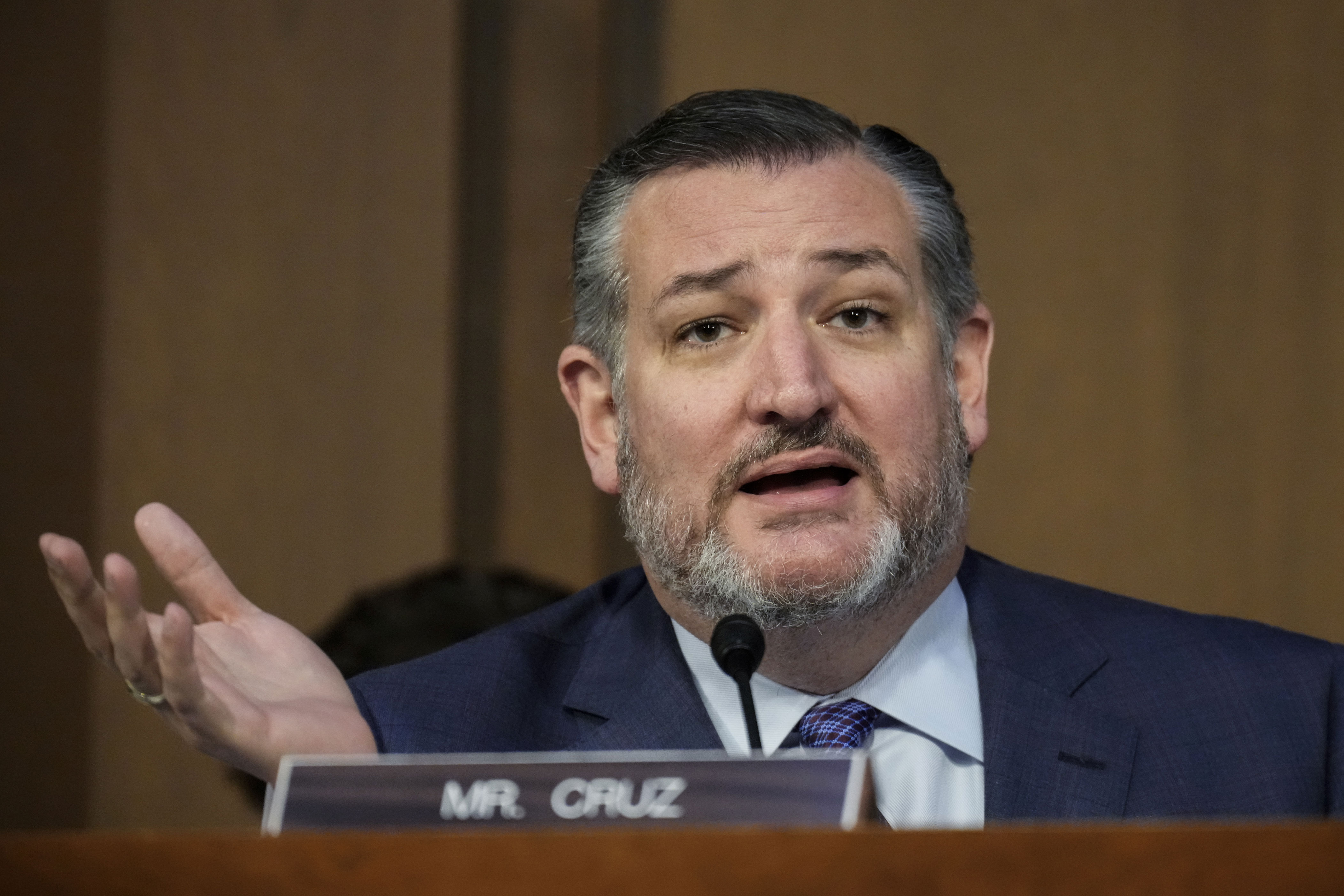 Ted Cruz says Democrats have history of 'racial discrimination'