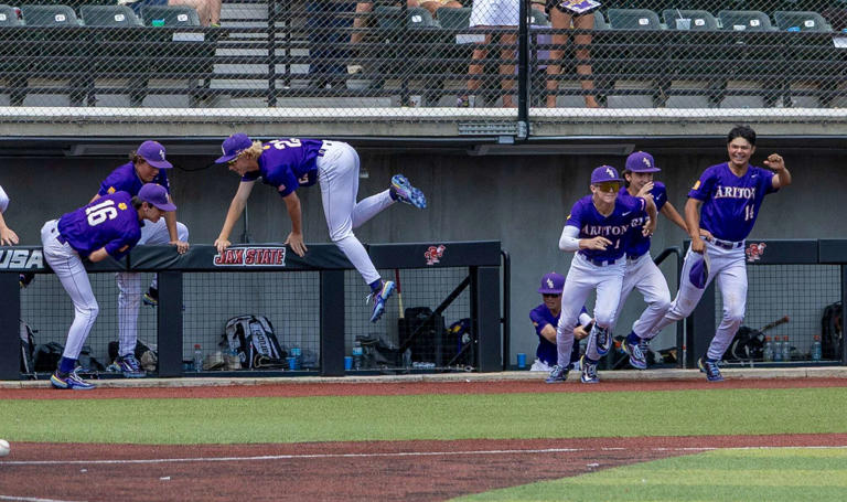 ‘Absolutely electric’: Addison Senn powers Ariton past Mars Hill for 2A ...