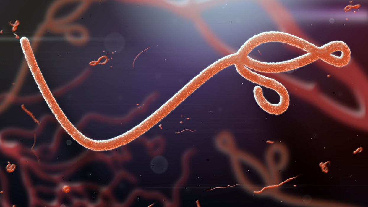 Trump cuts left region vulnerable to deadly virus now infecting ...