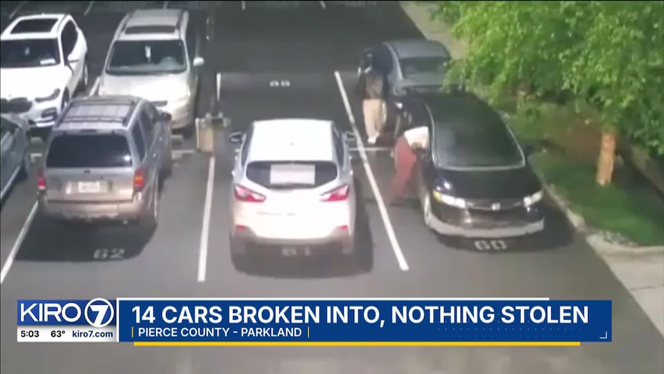Video: 14 cars broken into in Pierce County