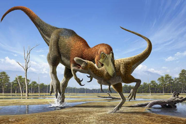 New study explains why T rex had such tiny arms: 'The head took over'