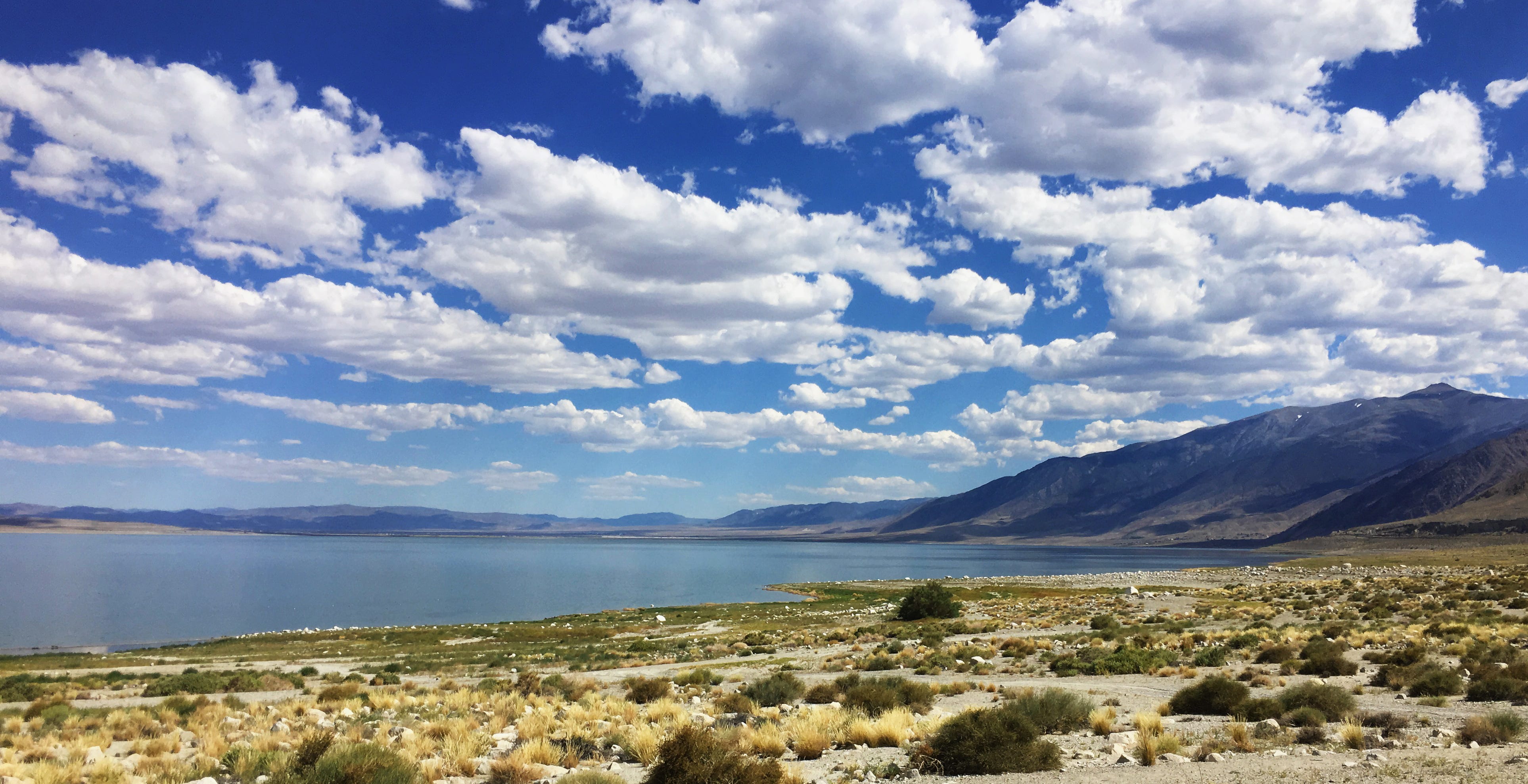 Can you stay overnight at a Nevada rest area? See guidelines