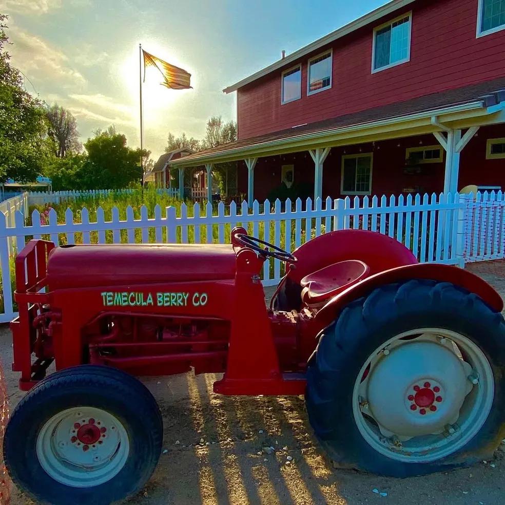 ¿Buscas plan? Esta granja en California te deja cortar tus propios ...
