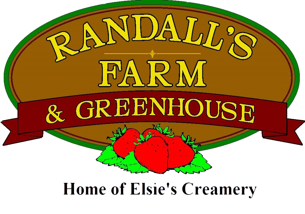 Residents run to Randall’s for rocky road