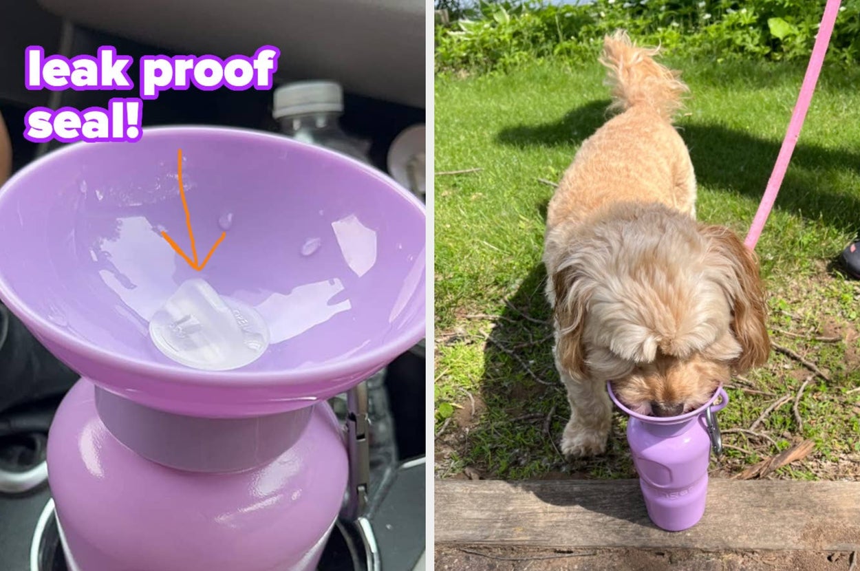 33 things you’ll want to have before you start your summer road trip