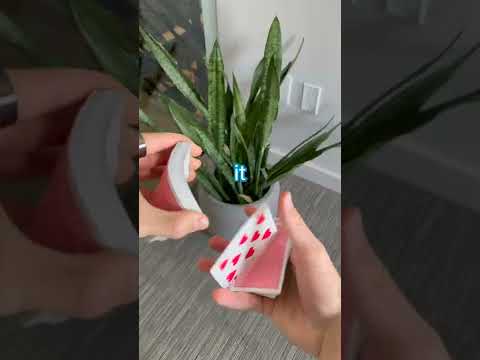 Learning how to card spring playing cards