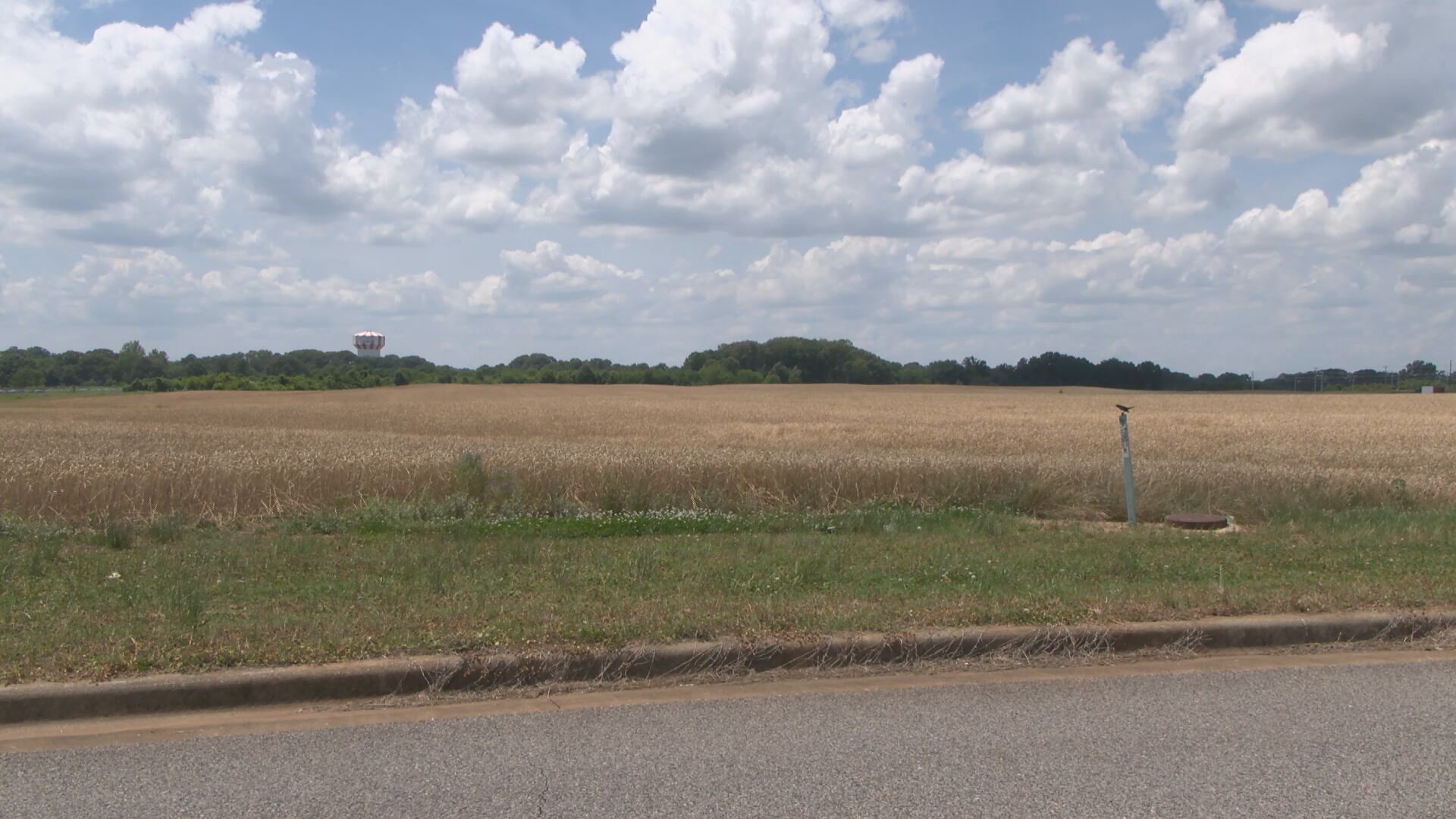 New manufacturing company set to bring 1100 jobs to Muscle Shoals