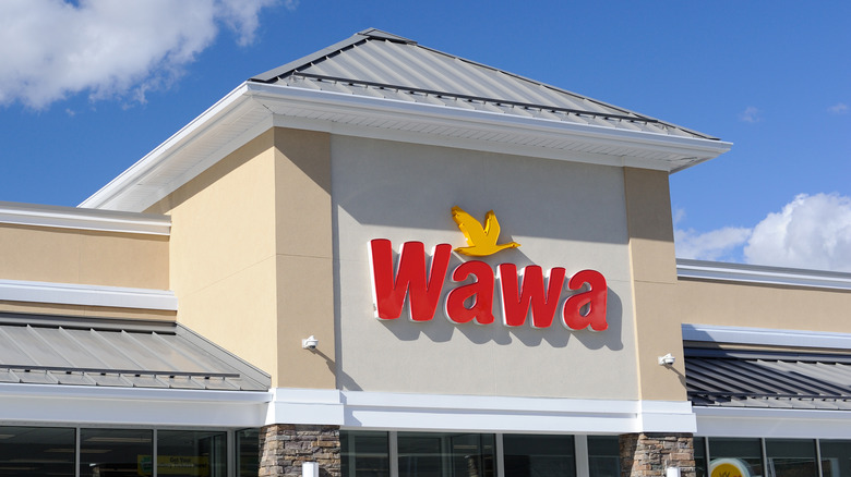 Everything you need to know about Wawa, the beloved convenience store