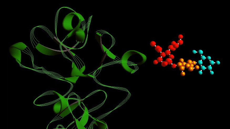 Amino acids decoded from life to lab
