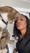 Cat swats woman during playful moment
