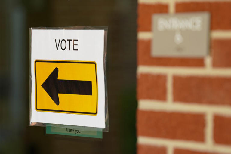 Voters talk affordability, decry ad spending as they head to the polls ...