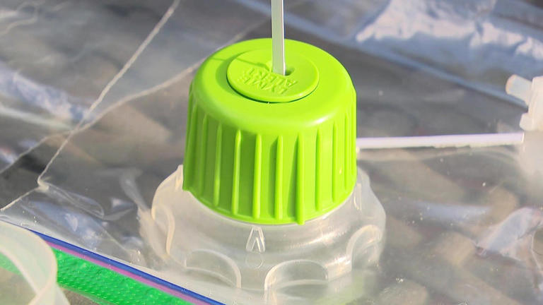 MIT researcher launching at-home tick test for Lyme disease