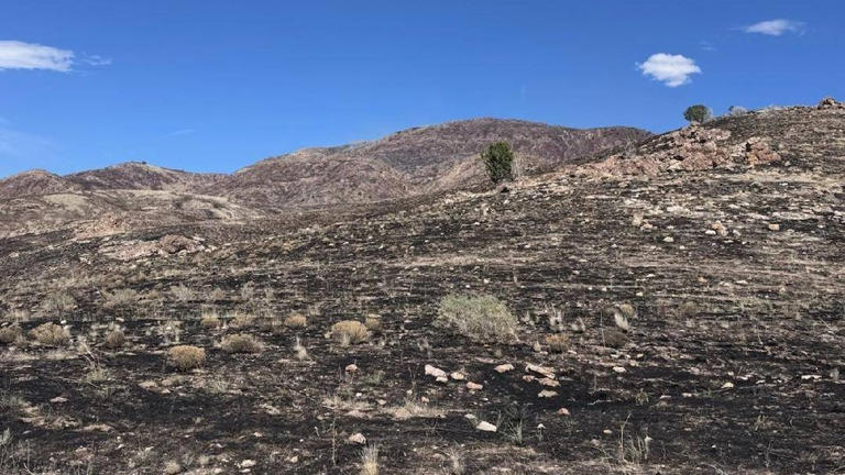 Wild Horse Fire fully contained after burning more than 7k acres in ...