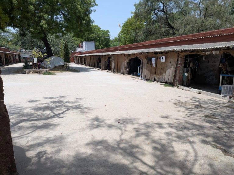 Trouble on Lok Kalyan Marg—Delhi Race Club is fighting Modi govt to ...