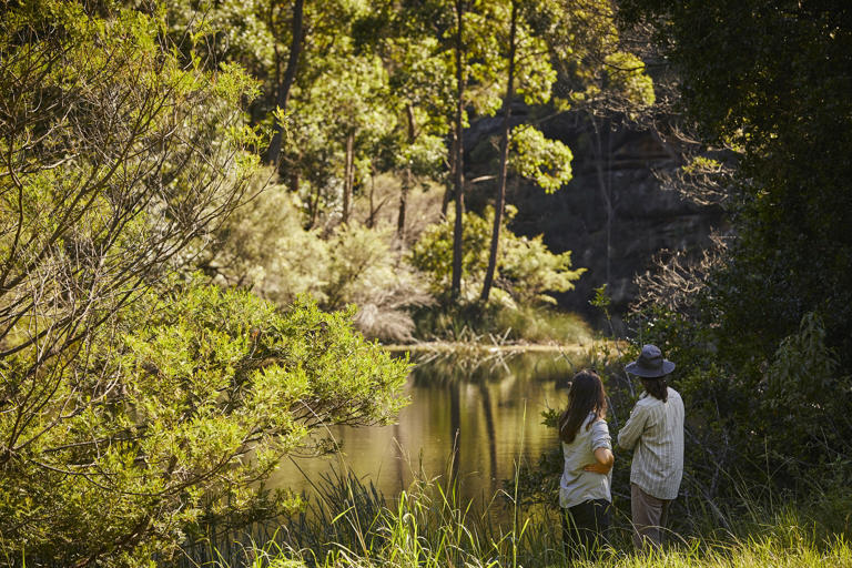 An Australian icon, the platypus is struggling — and scientists still ...