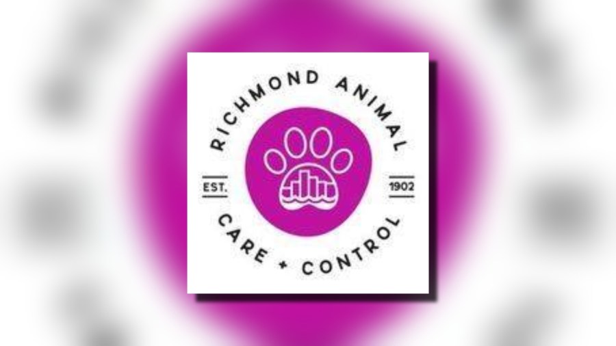 RACC says staff found first heat stroke dog death of 2026