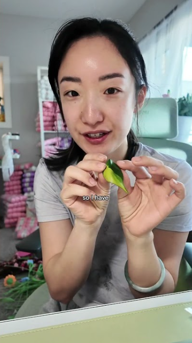 I can’t believe this mushroom actually grew