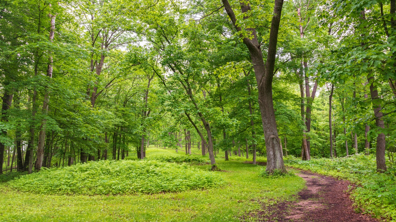 Bear-shaped earthworks, ancient bluffs, Mississippi views? Iowa’s ...
