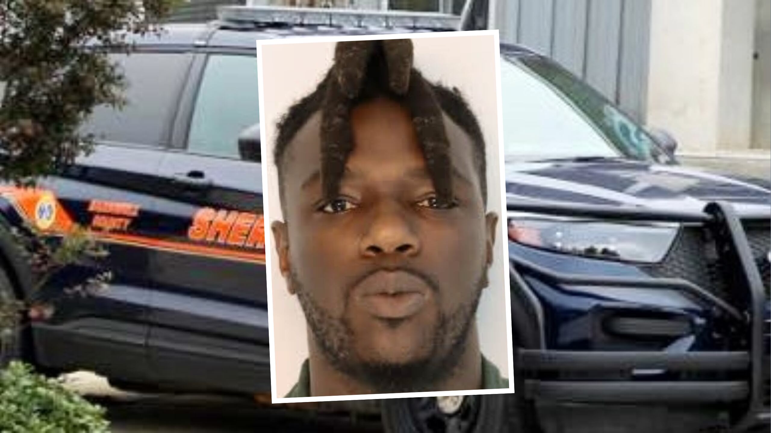Man arrested on 43 charges in Barnwell County, including alleged dog ...