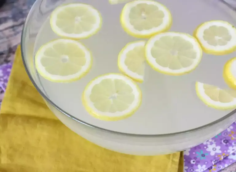 Gin fizz om te delen met al je gasten tijdens het aperitief