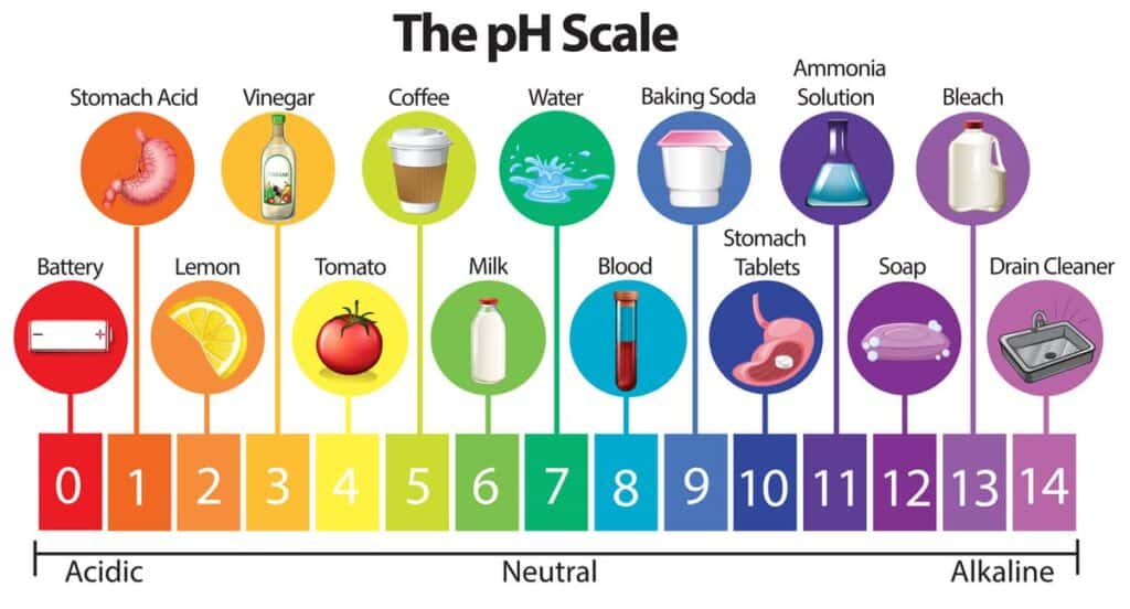 Delicious alkaline-rich foods and breakfast options