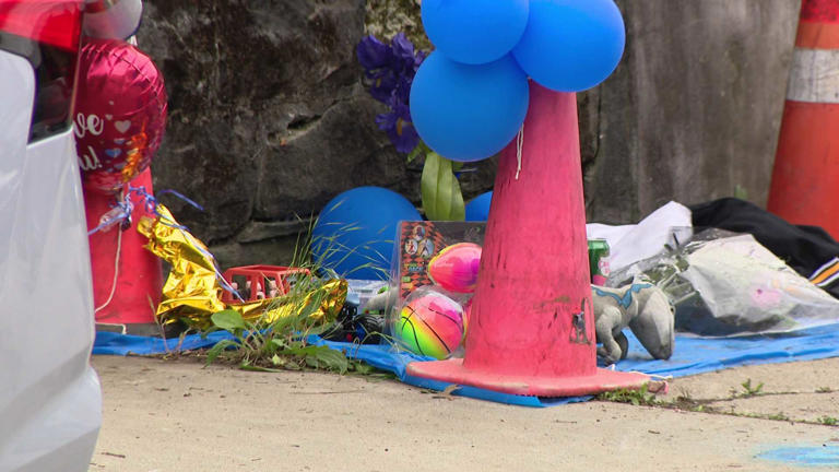 Police: 4-year-old boy fatally hit by vehicle in Pittsburgh