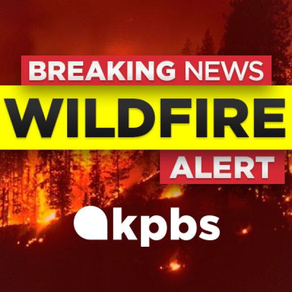 Dulzura-area wildfire blackens hundreds of acres