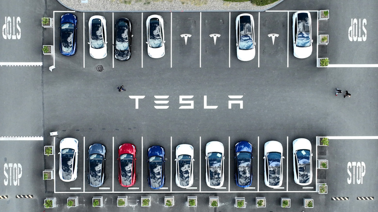 5 Tesla features that make these EVs stand out from the crowd