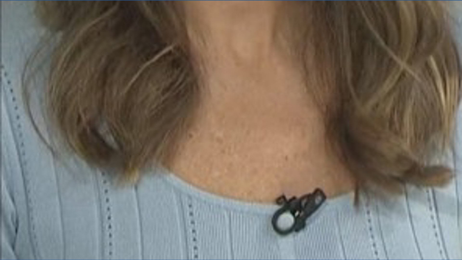 Tick-borne disease bobcat fever threatens domestic cats this summer