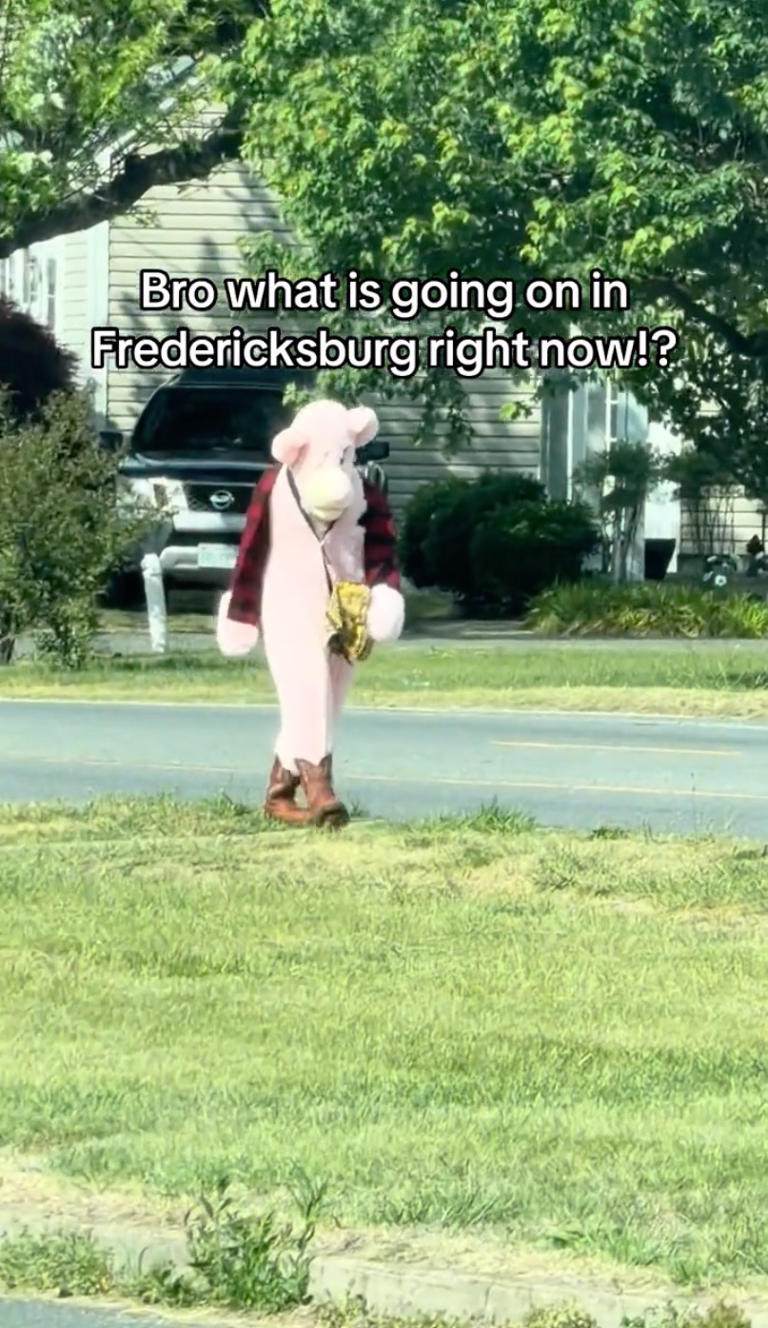 Sicko in Pink Panther-like costume allegedly hunts down local school ...