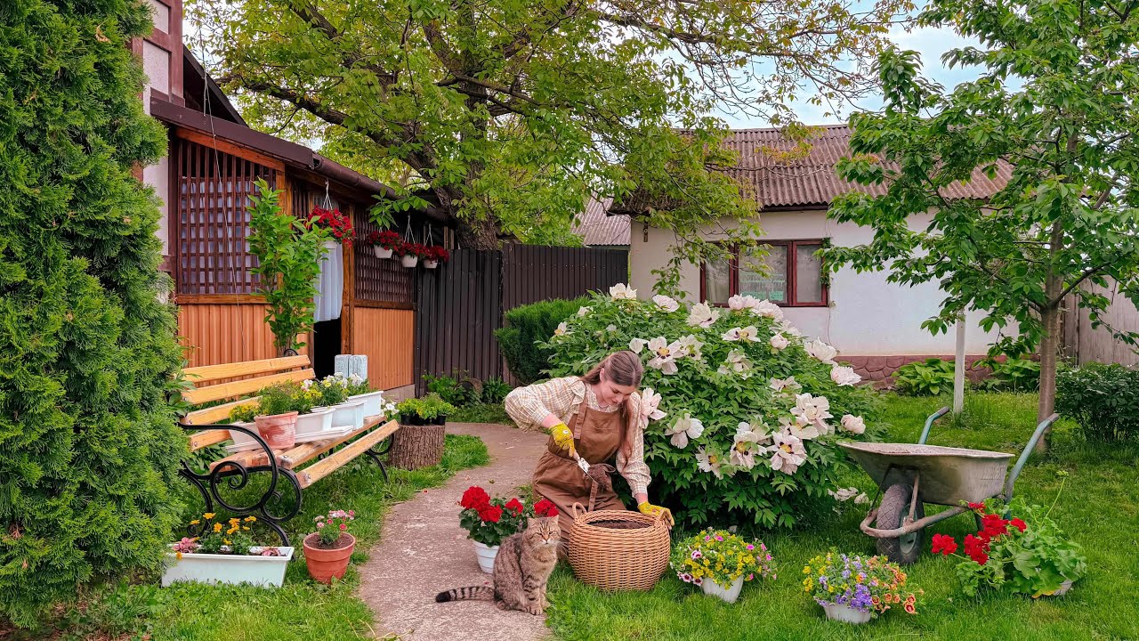 Embrace beautiful spring in the countryside