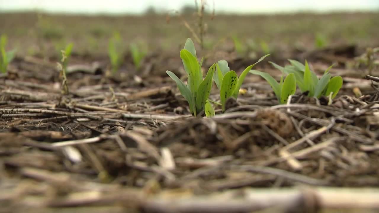 Recent rain slows Iowa fields, but Madison County farmer remains ...