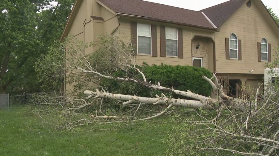 Storm causes damage in Raymore neighborhoods