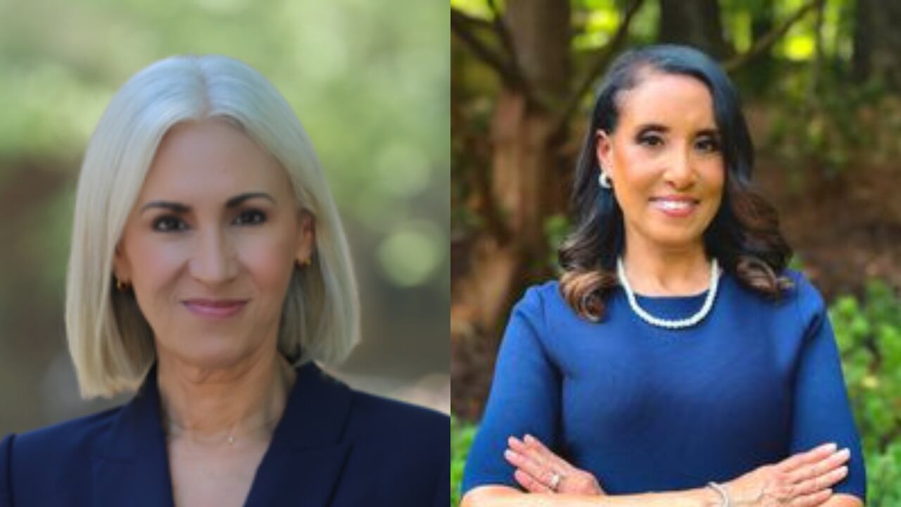 Penny Brown Reynolds, Dana Barrett head to Democratic secretary of ...