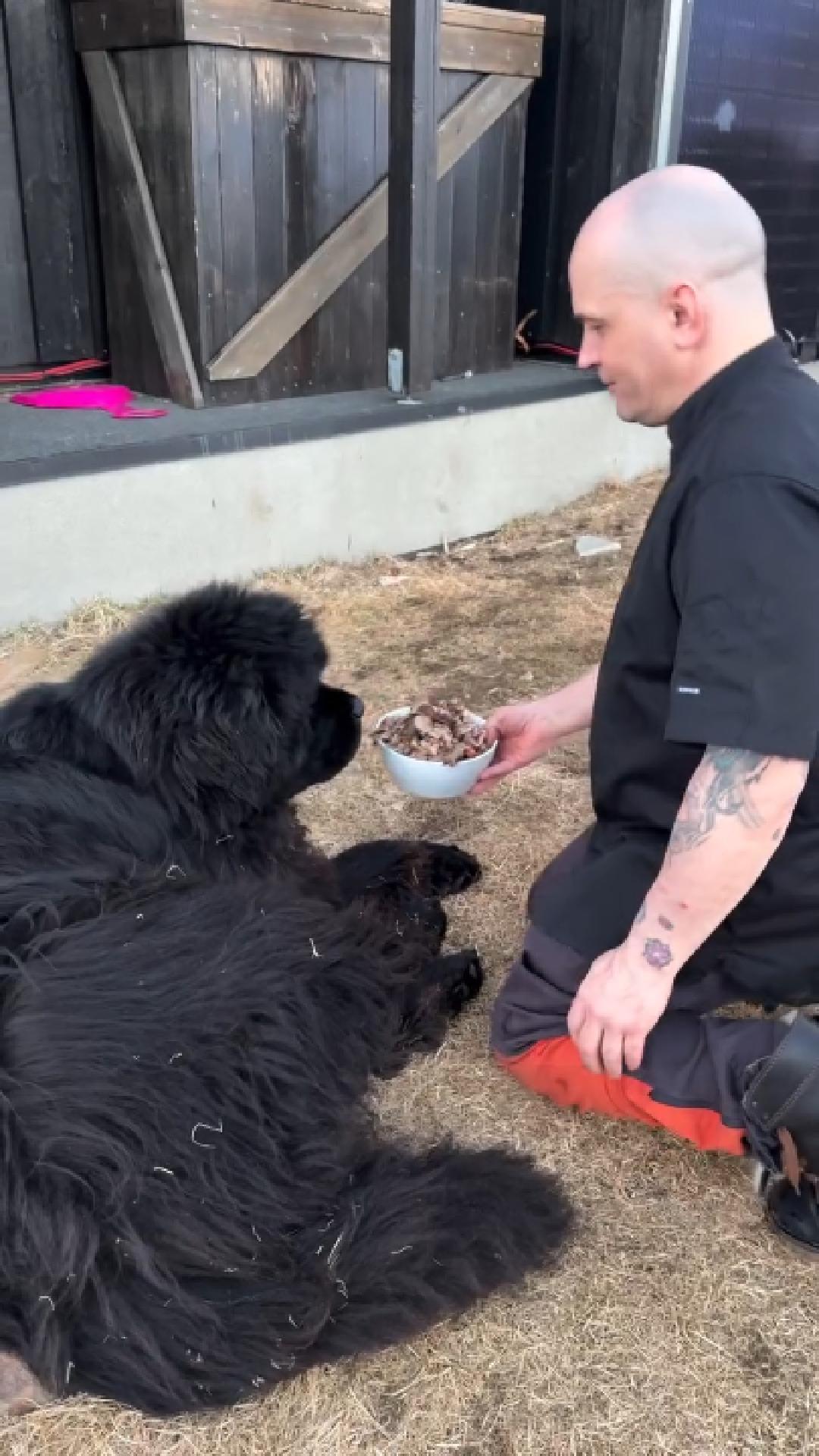 Albert Got a Special Roast Lamb Treat From the Che
