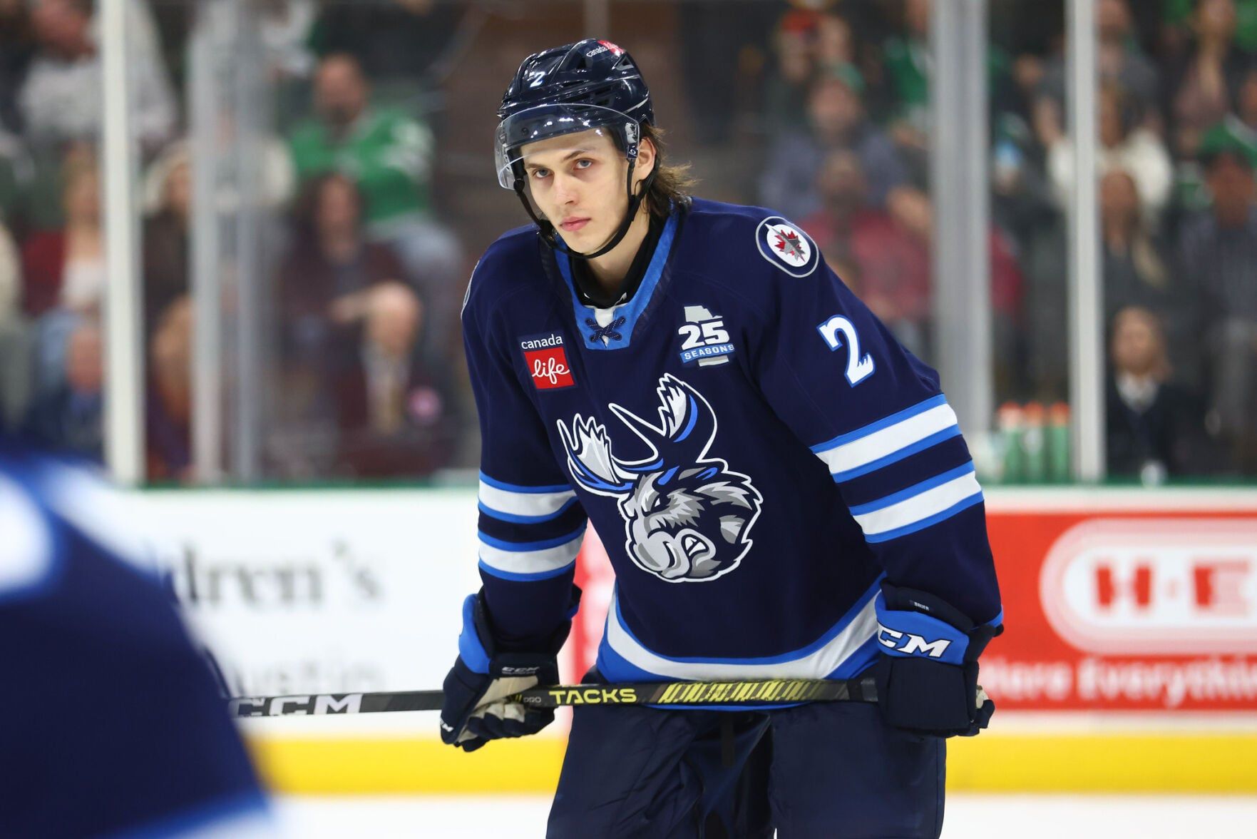 Moose D-man Bauer AHL’s man of the year