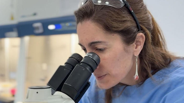La UBA desarrolla una terapia para acortar el tratamiento contra la ...