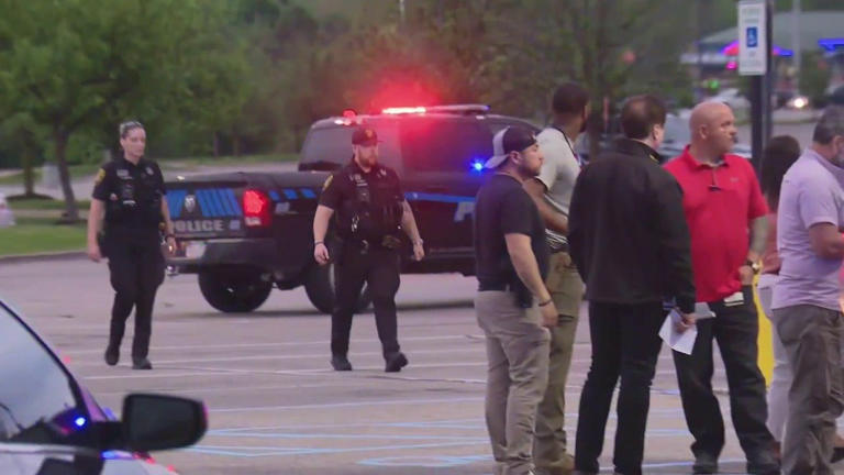 Orion Township carjack shooting: Suspect had violent past, stalked his ...