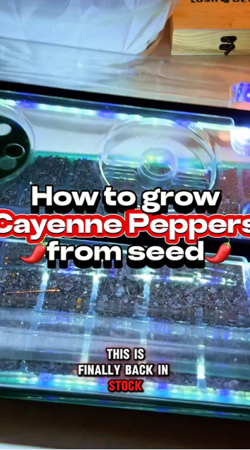 How to grow peppers from seed
