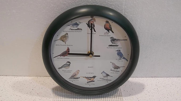 Keep your eyes peeled: This clock at the thrift store is a bird lover's ...