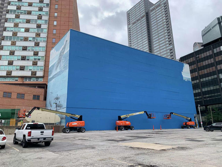 There's 2 Dallas FIFA World Cup murals. Here's what to know about each ...