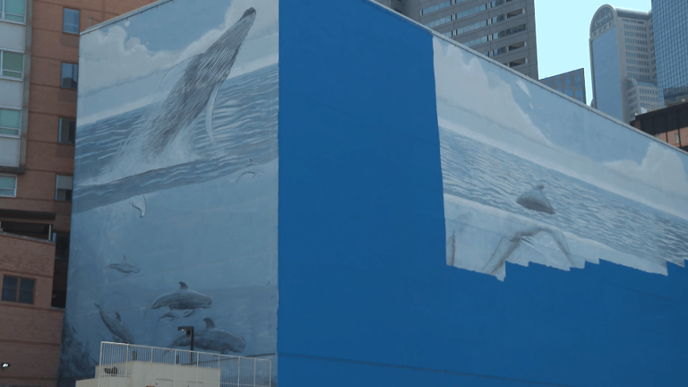 Wyland issues cease and desist after Dallas whale mural painted over ...