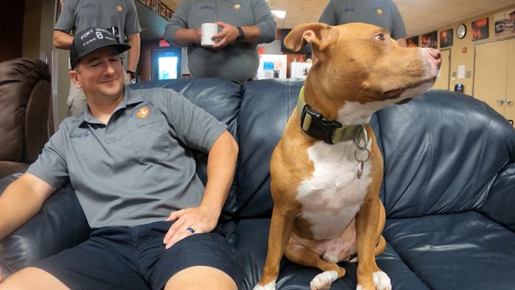A desperate Fort Worth veteran surrendered his dog to a fire station ...
