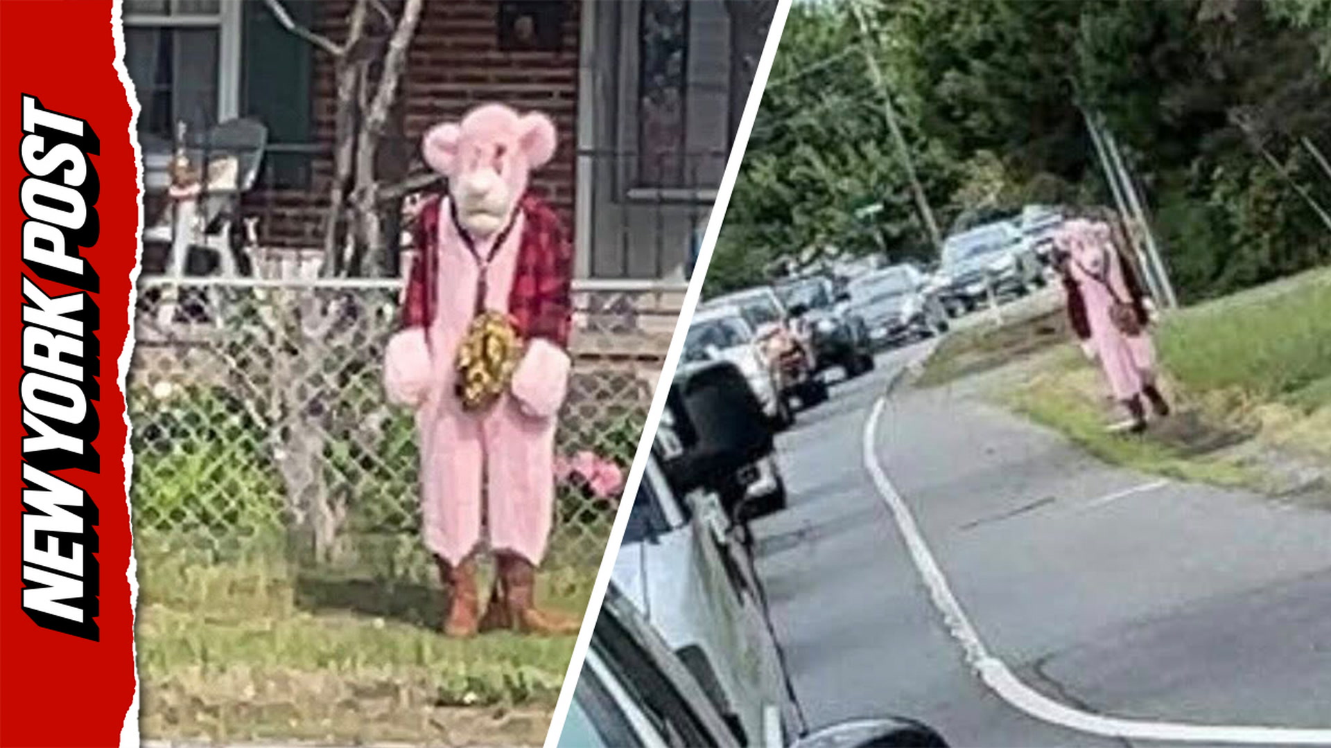 Creep in Pink Panther costume allegedly hunts down kids in Virginia ...