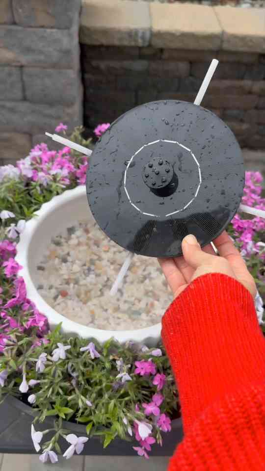 Simple DIY bird bath idea that instantly beautifies your backyard