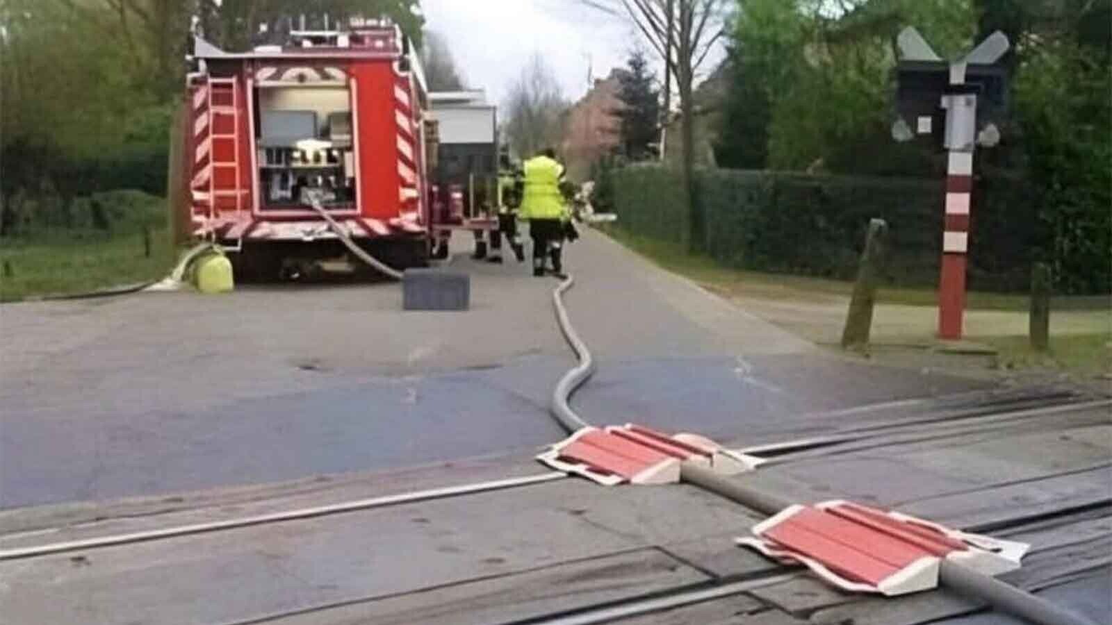 18 photos where common sense is not in the room with us